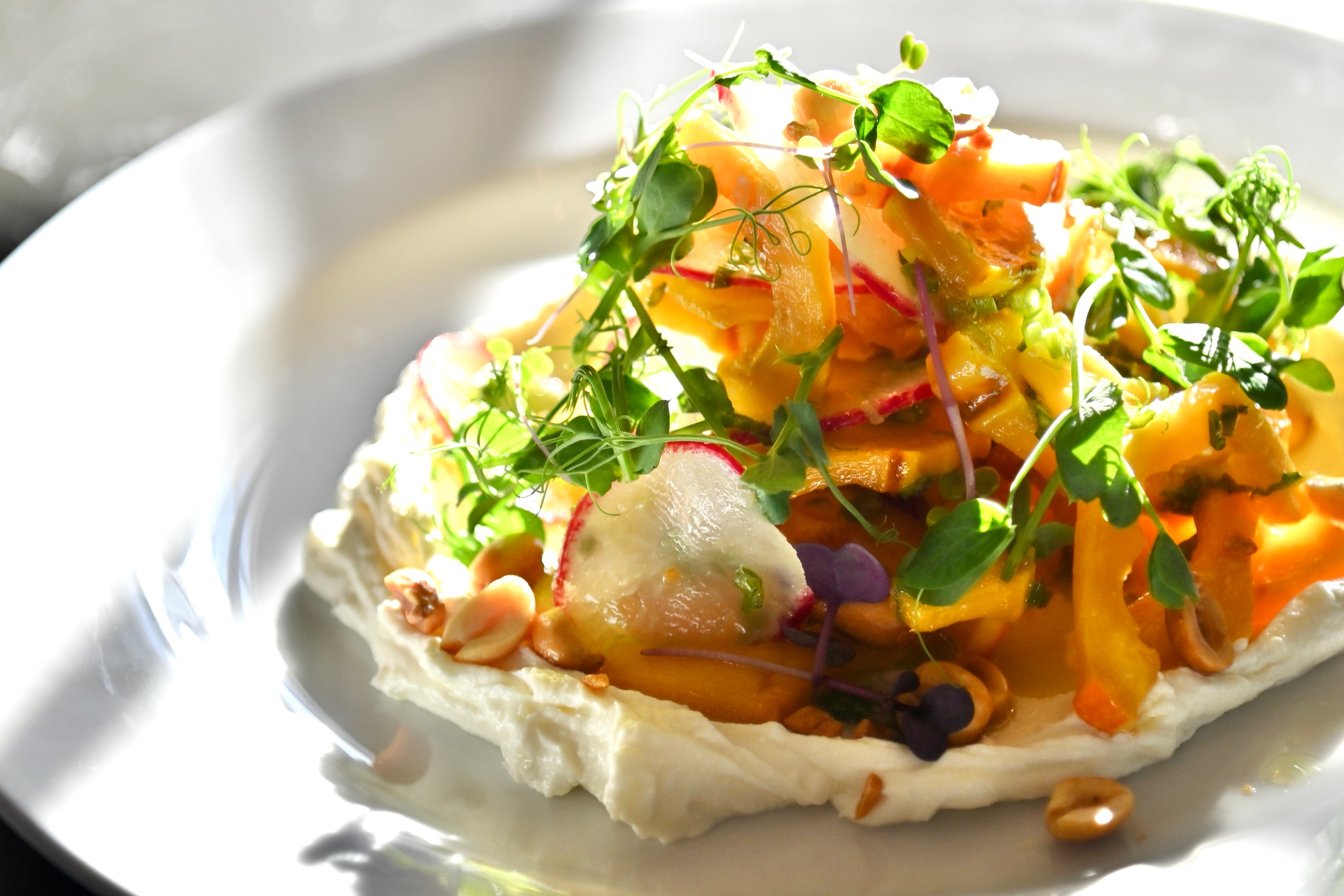 BISTRO MENU – Santa Fe Teahouse